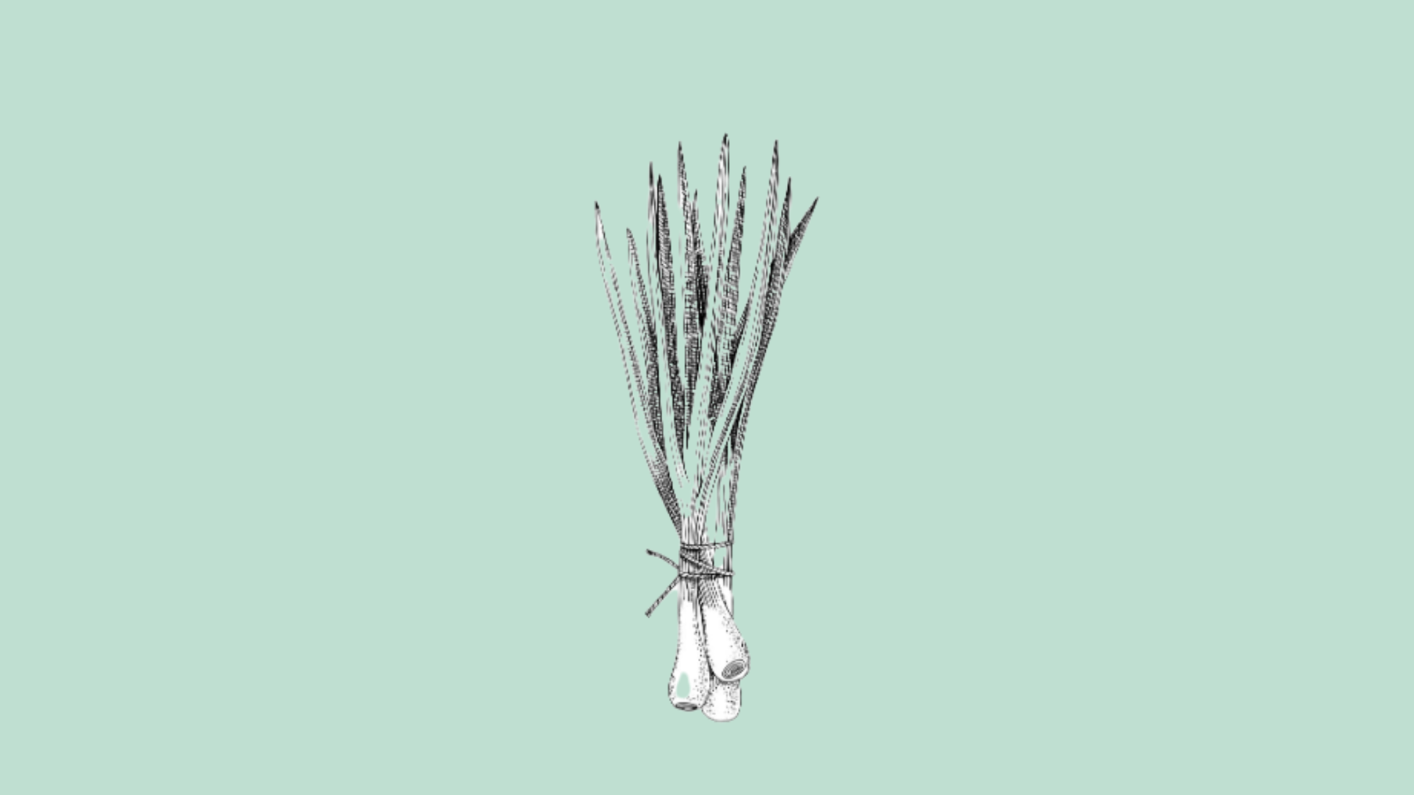An Easy Guide To Identifying Wild Onions | ForagingGuru
