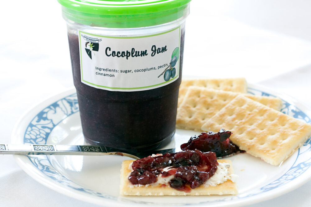 Foraging And Cooking Cocoplums | ForagingGuru